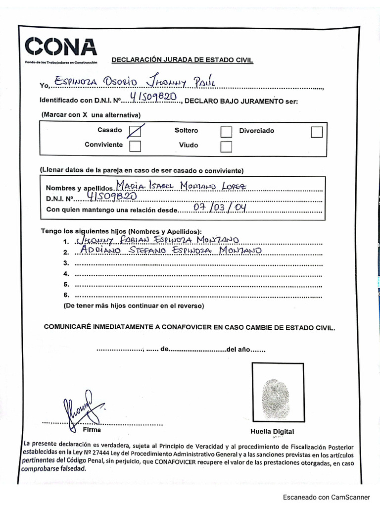 Declaracion Jurada Cona | PDF