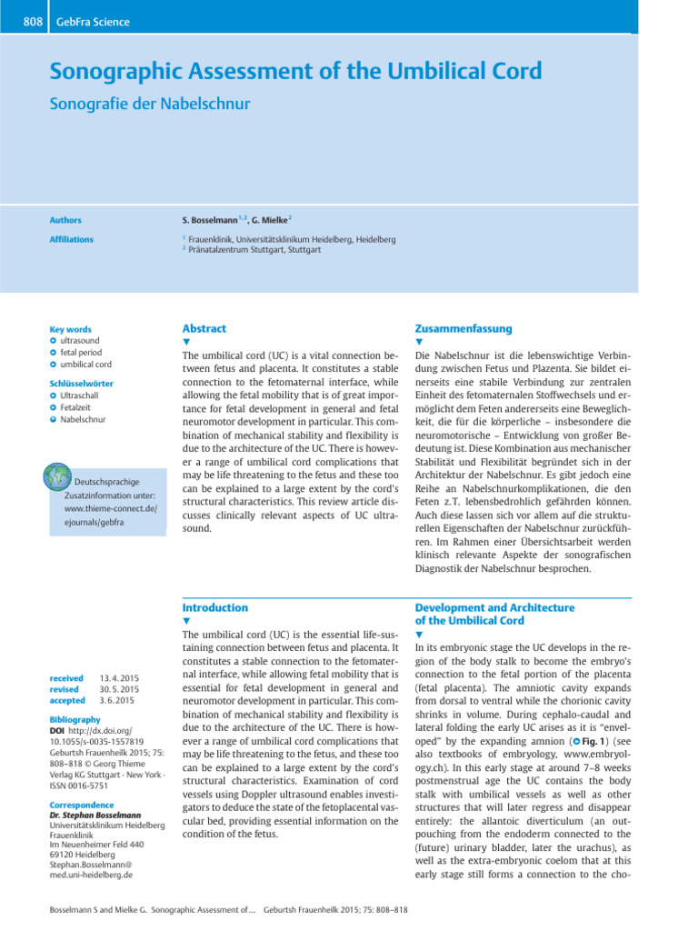 Umbilical Cord | PDF | Medical Specialties | Anatomy