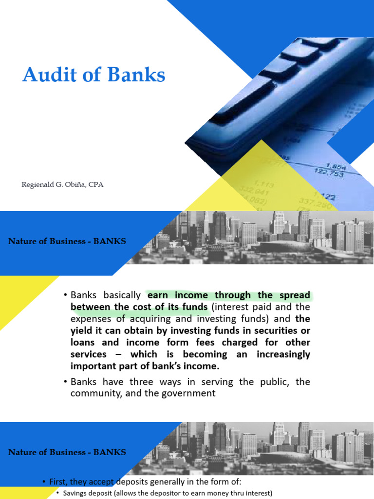 Audit of Banks | PDF | Banks | Loans