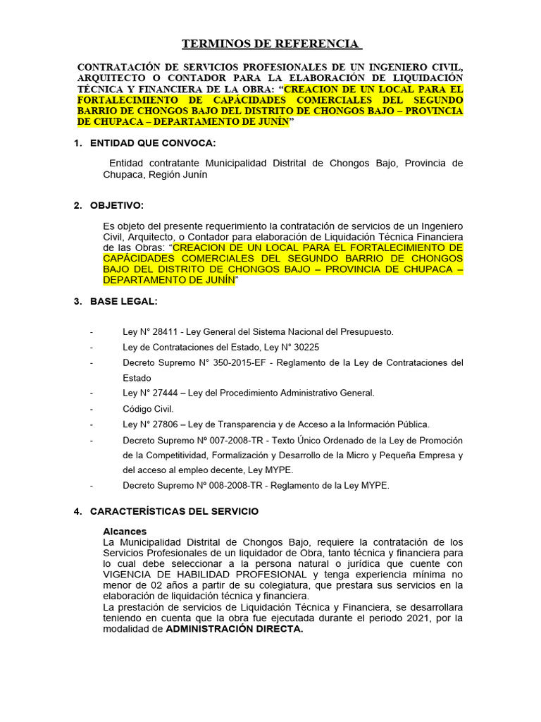 Modelo de TDR para Elaboracion de Liquidacion T.F. | PDF | Presupuesto