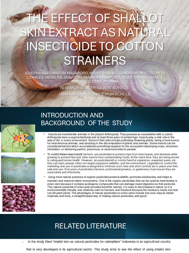 The Effect of Shallot Skin Extract As Natural | PDF | Pesticide ...