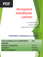 Canine Classification of Malocclusion | PDF | Social Science | Young Adult