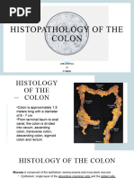 Haggitt Classification of Colorectal Polyps | PDF | Colorectal Cancer ...