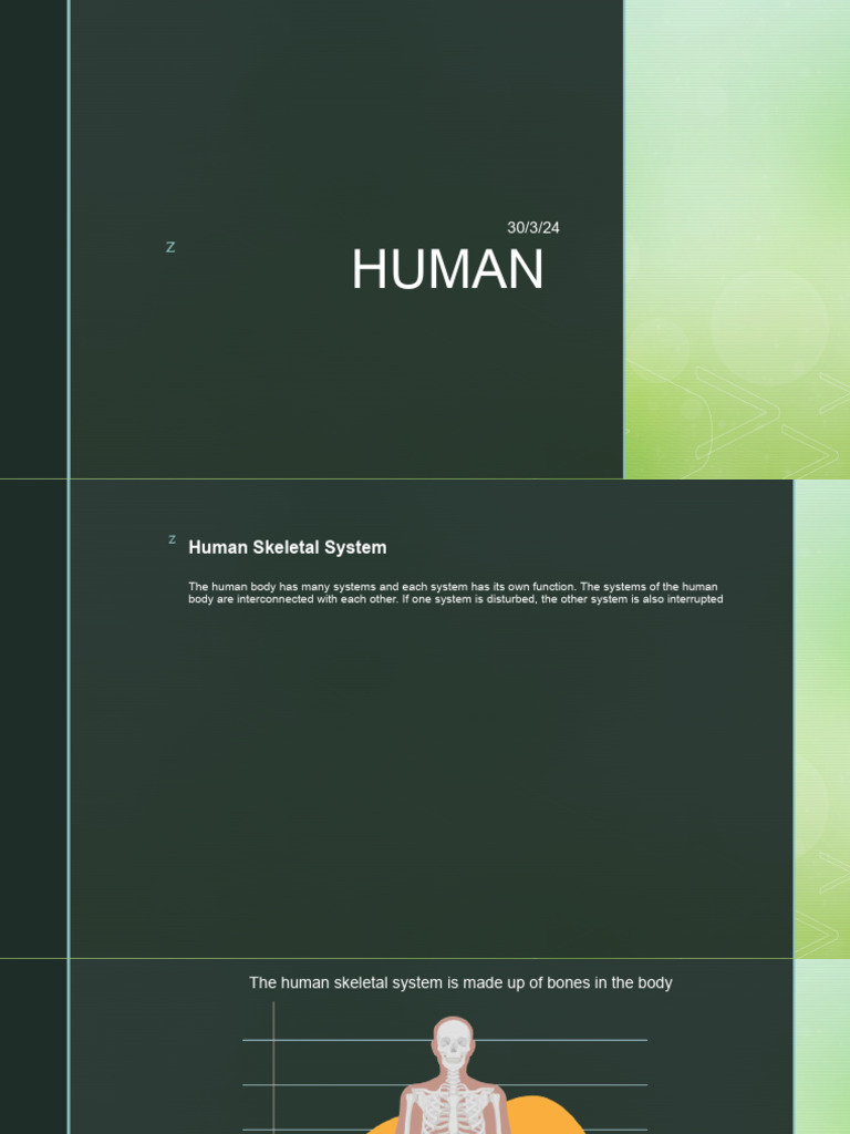 Human Bone | PDF