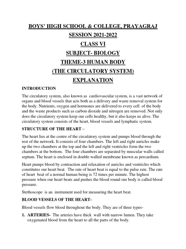 Bhs Class 6 Biology August PDF | PDF | Blood | Heart