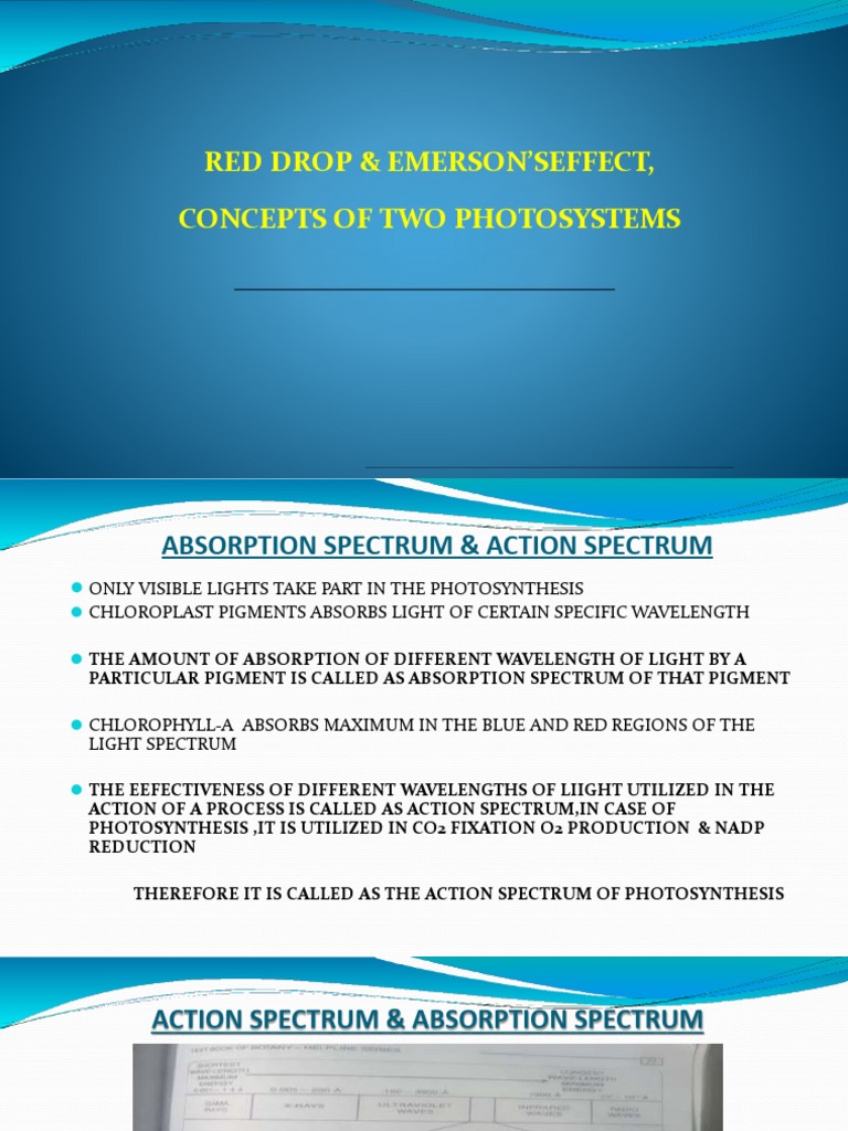 Emerson red drop enhancement effect | PDF | Photosynthesis | Chlorophyll