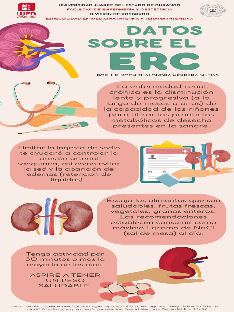 Infografia Erc XHM | PDF