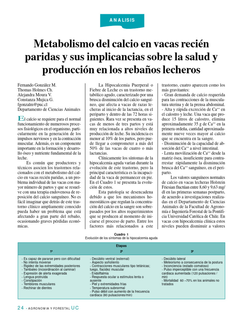 Calcio Vacas | PDF | Calcio