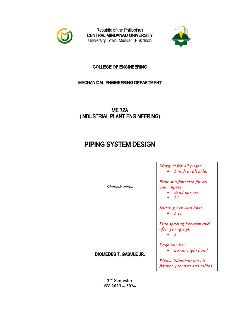 Piping System Design Guidelines | PDF