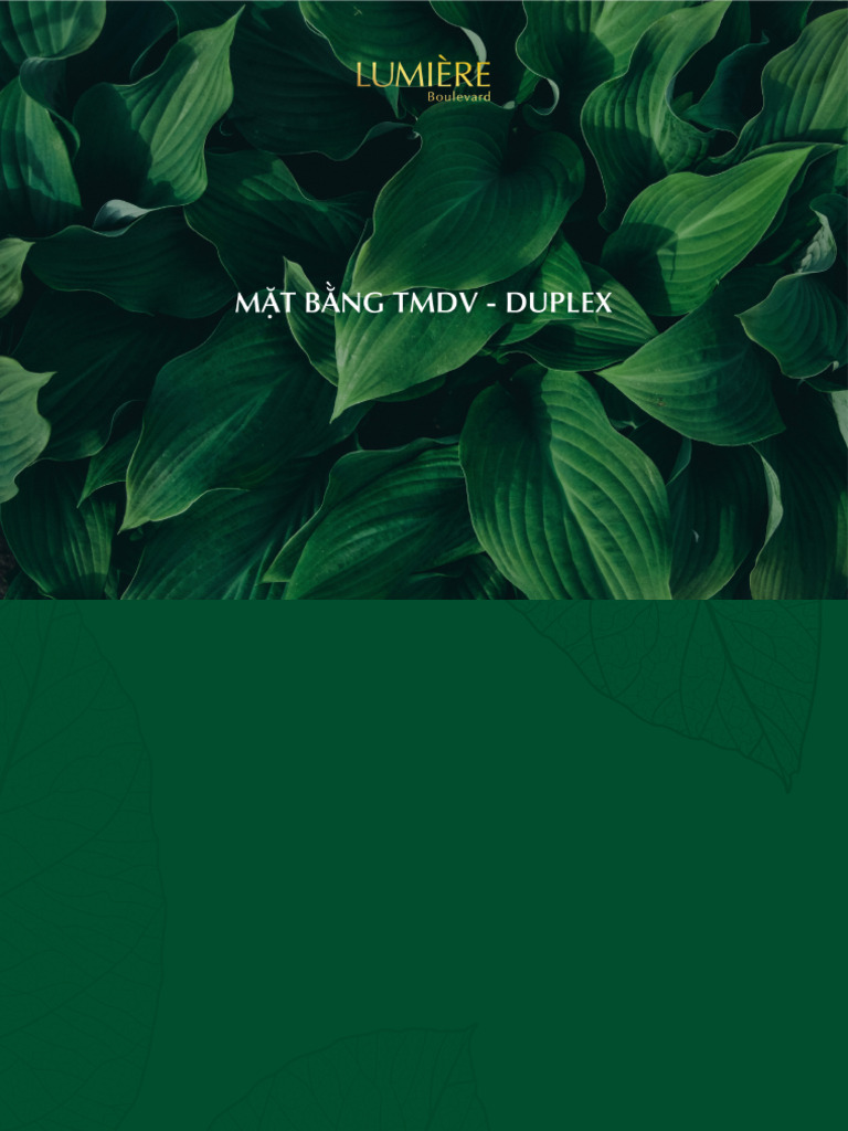 Lumiere Boulevard - LO Duplex - Giá trần | PDF