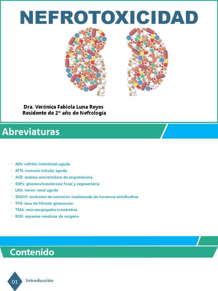 Nefrotoxicidad | PDF | Especialidades Medicas | Riñón