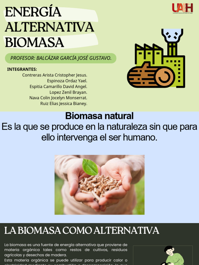 Presentación Sostenibilidad y Medio Ambiente Ilustrada Simple Verde | PDF | Biomasa | Energía ...