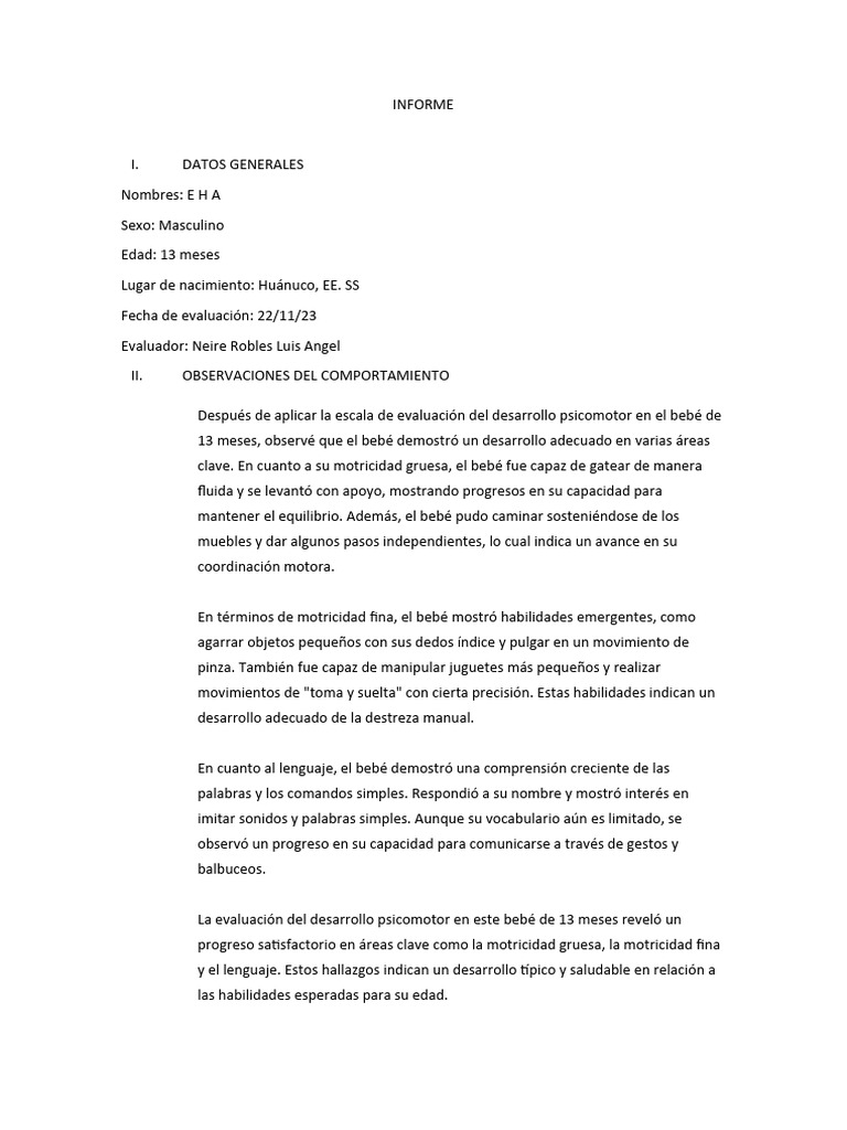 Modelo Informe | PDF | Cognición