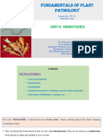 Nematode Species and Common Names List | PDF | Parasites | Plants