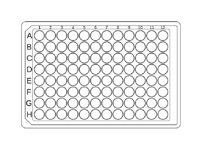 96 Well Plate | PDF