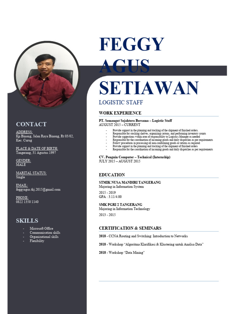 CV Feggy | PDF | Business | Computing