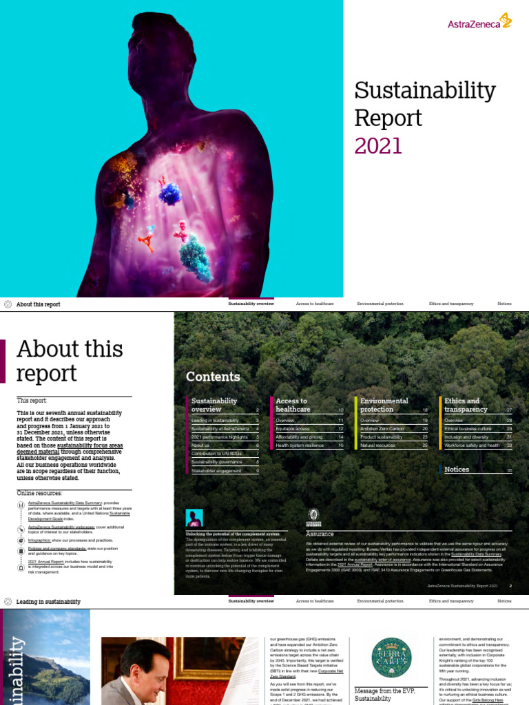 Sustainability Report 2021 | PDF | Sustainability