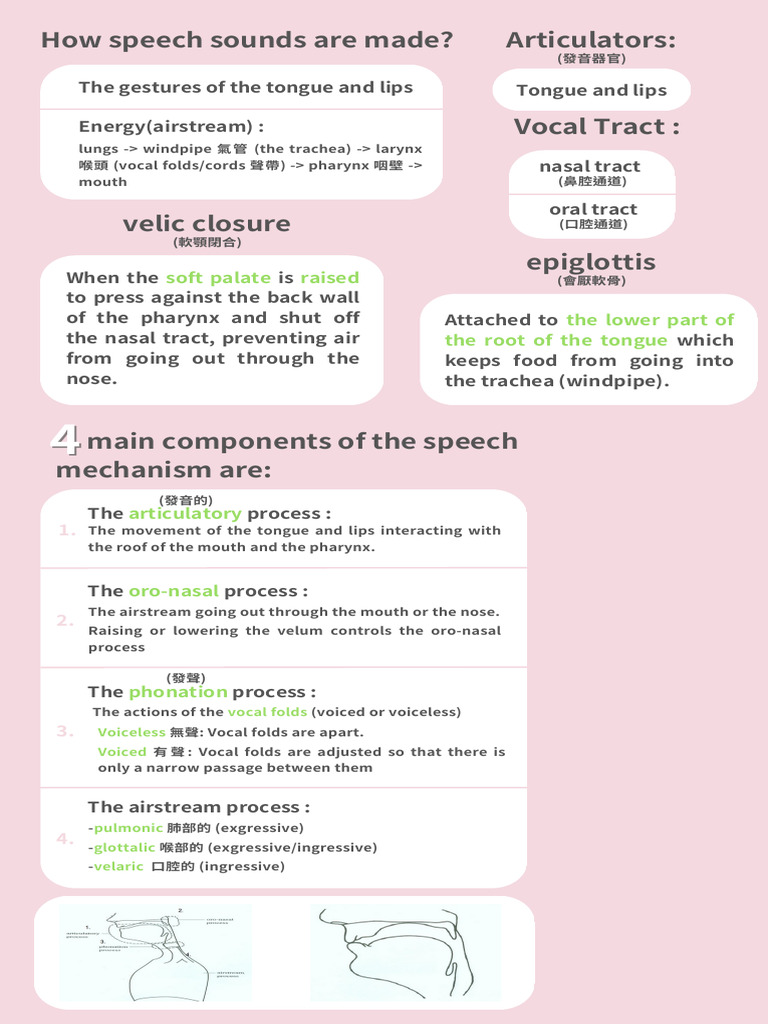 Language 1 | PDF | Language Arts & Discipline | Foreign Language Studies