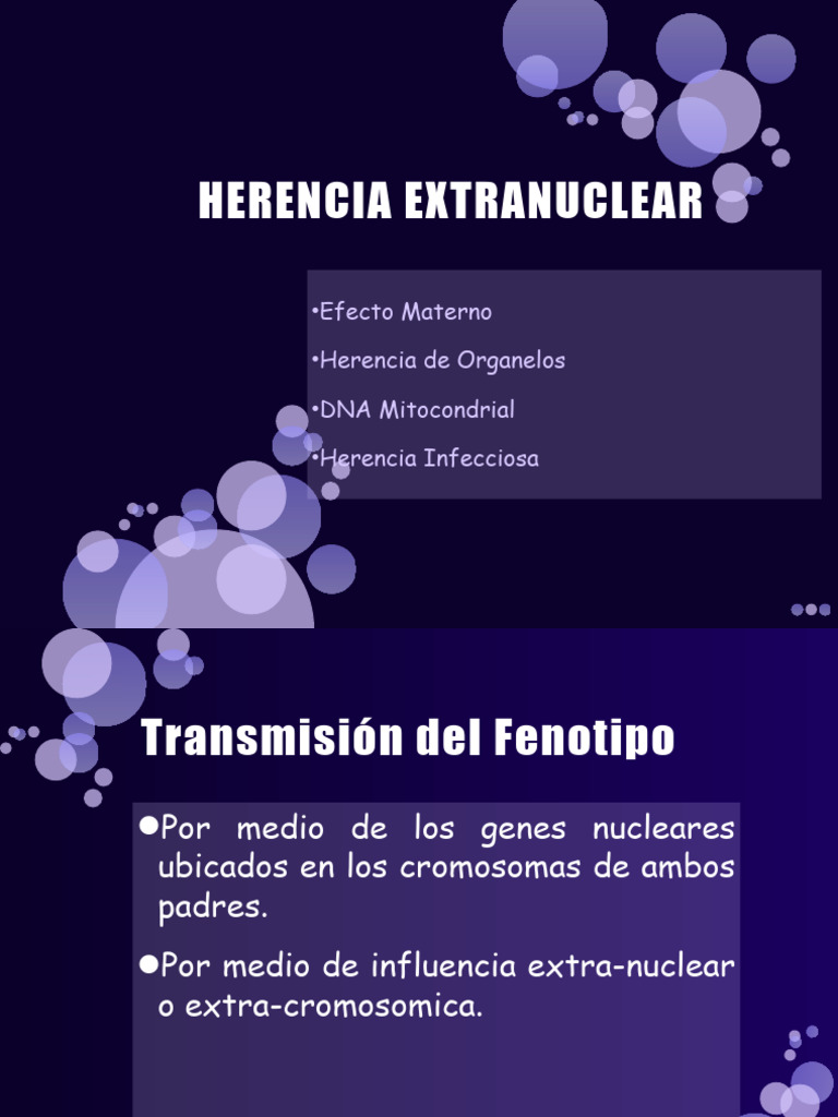 GENETICA ANIMAL-clase 8 | PDF | Adn mitocondrial | Herencia