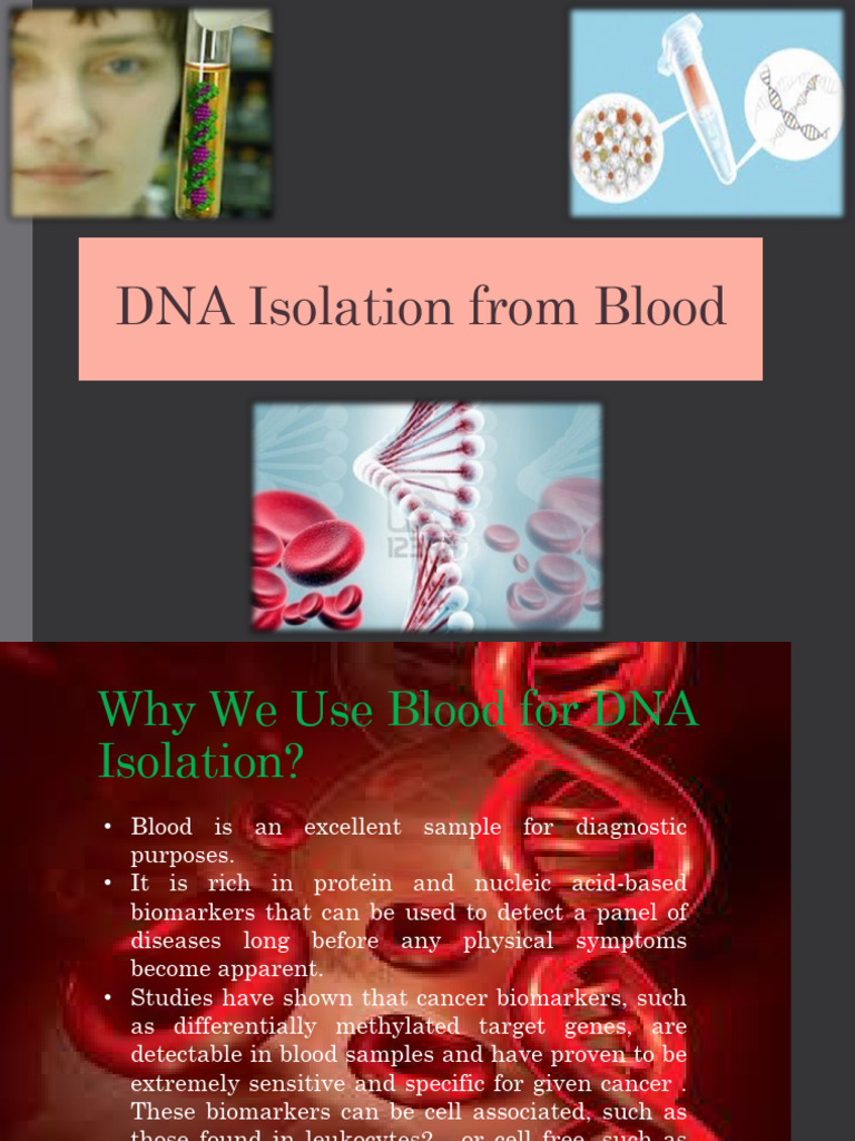 4. DNA Isolation From Blood | PDF | Lysis | Dna