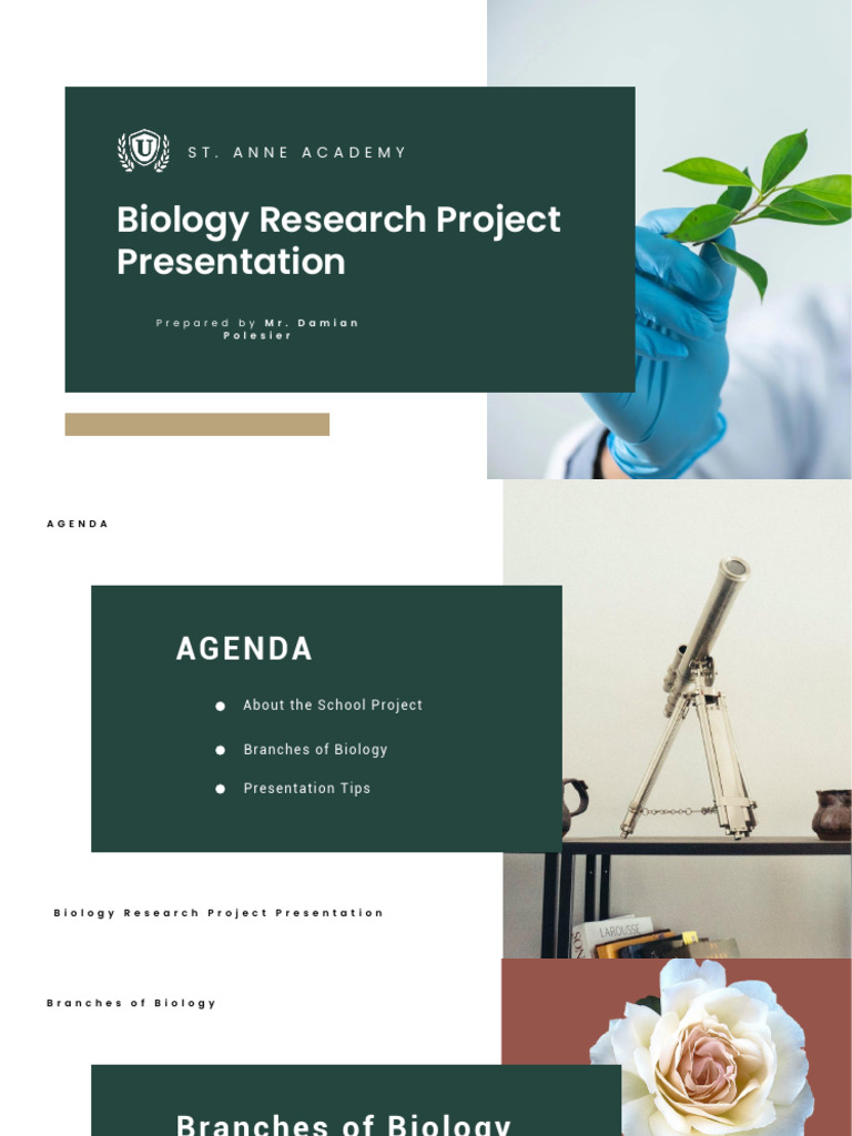 School Project Presentation Template | PDF | Zoology | Biology