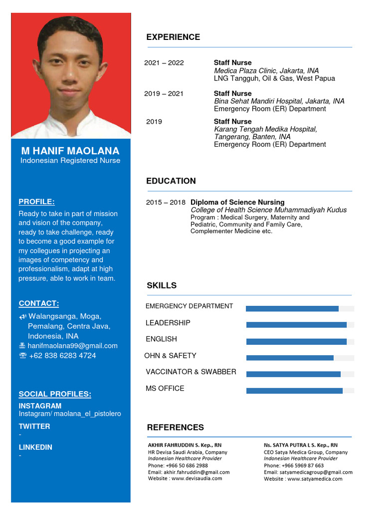 CV Hanif Maolana | PDF | Nursing | Health Care
