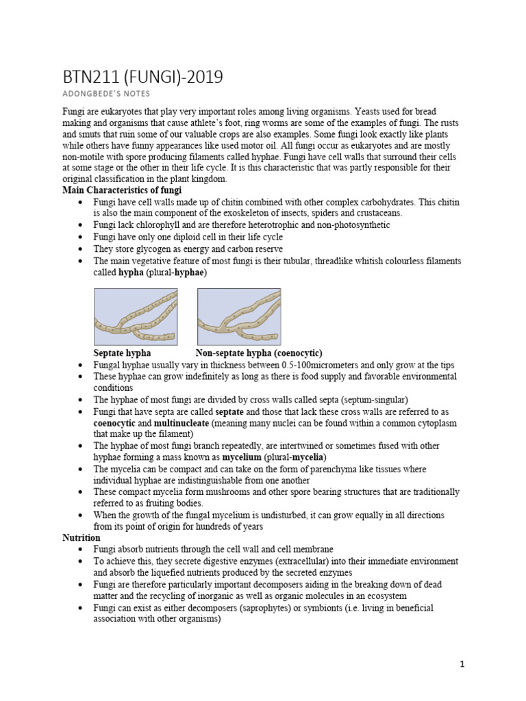 Btn211 Fungi 2019 Pdf Fungus Sexual Reproduction