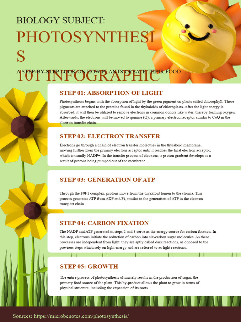 Biology Subject Photosynthesis 101 Infographic | PDF | Photosynthesis ...