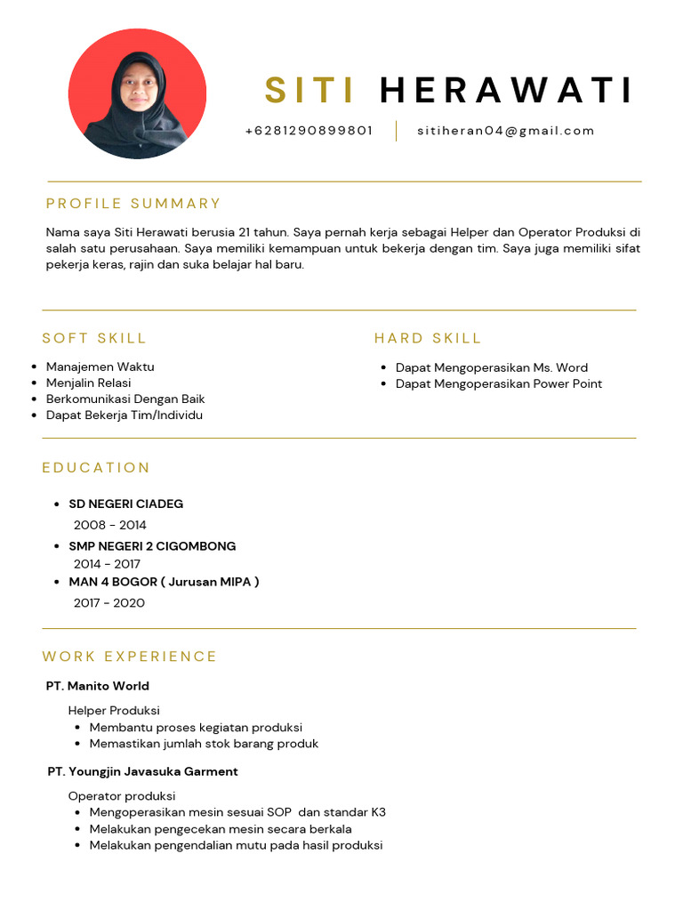 White Gold Elegant Minimalist Data Analyst Resume CV A4 Printable - 20240518 - 145857 - 0000 ...