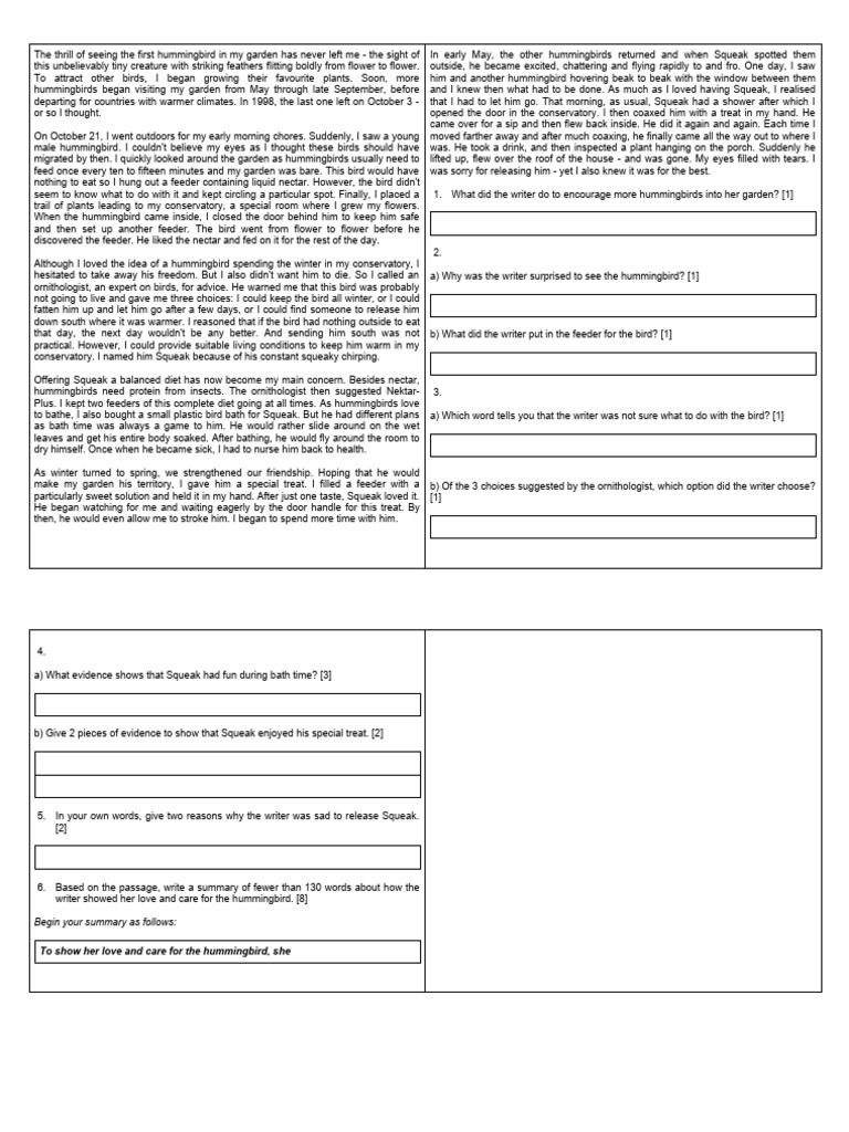 Caring for Squeak: A Hummingbird's Tale | PDF | Home & Garden | Science ...