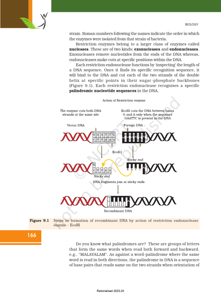 Steps in Formation of Recombinant Dna by Action of Restriction ...