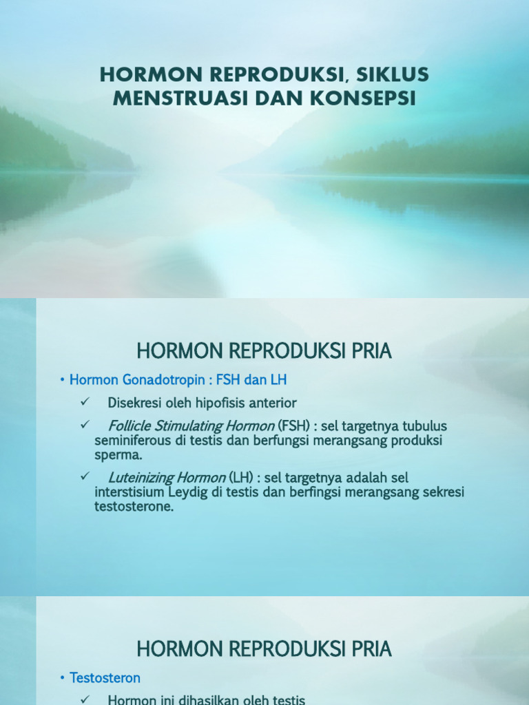 Siklus Hormon Pria dan Fungsinya | PDF | Pengembangan Diri | Kesehatan ...
