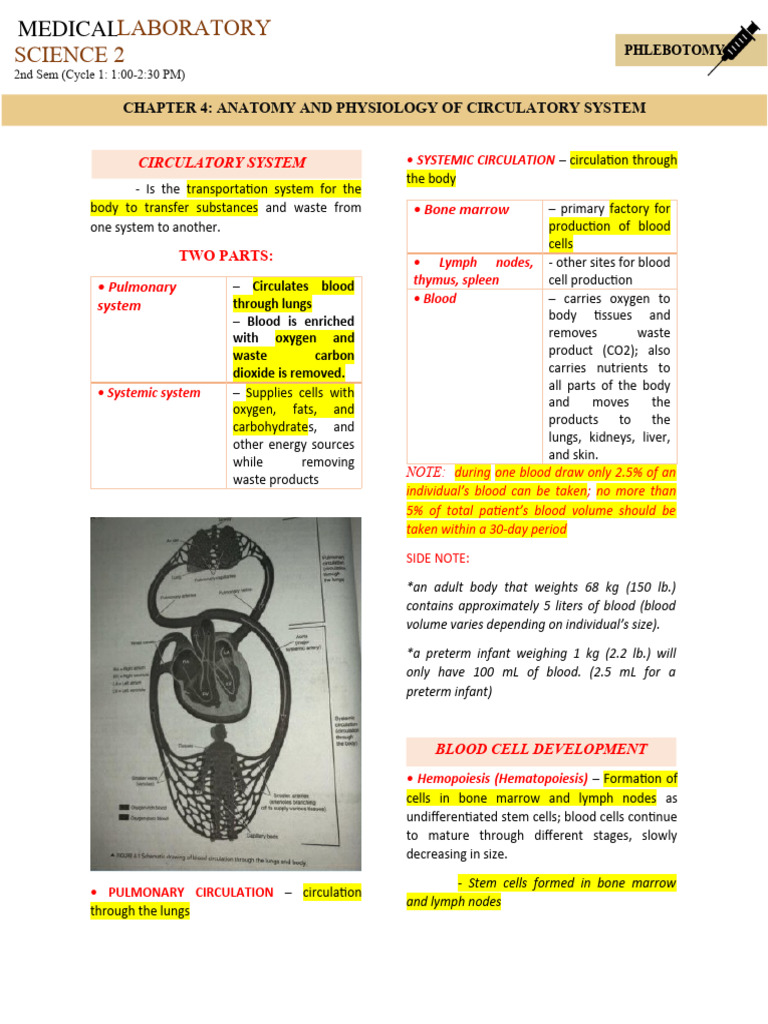 Anatomy and Physiology of the circulatory system | PDF | Blood | Blood Plasma