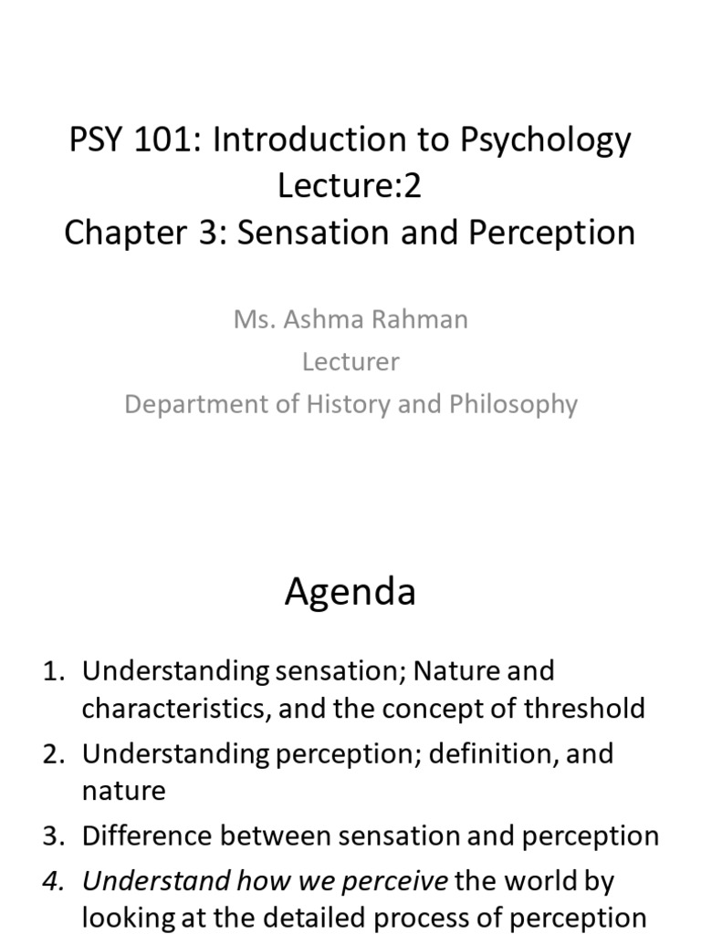 Lecture3 Theory | PDF | Senses | Perception