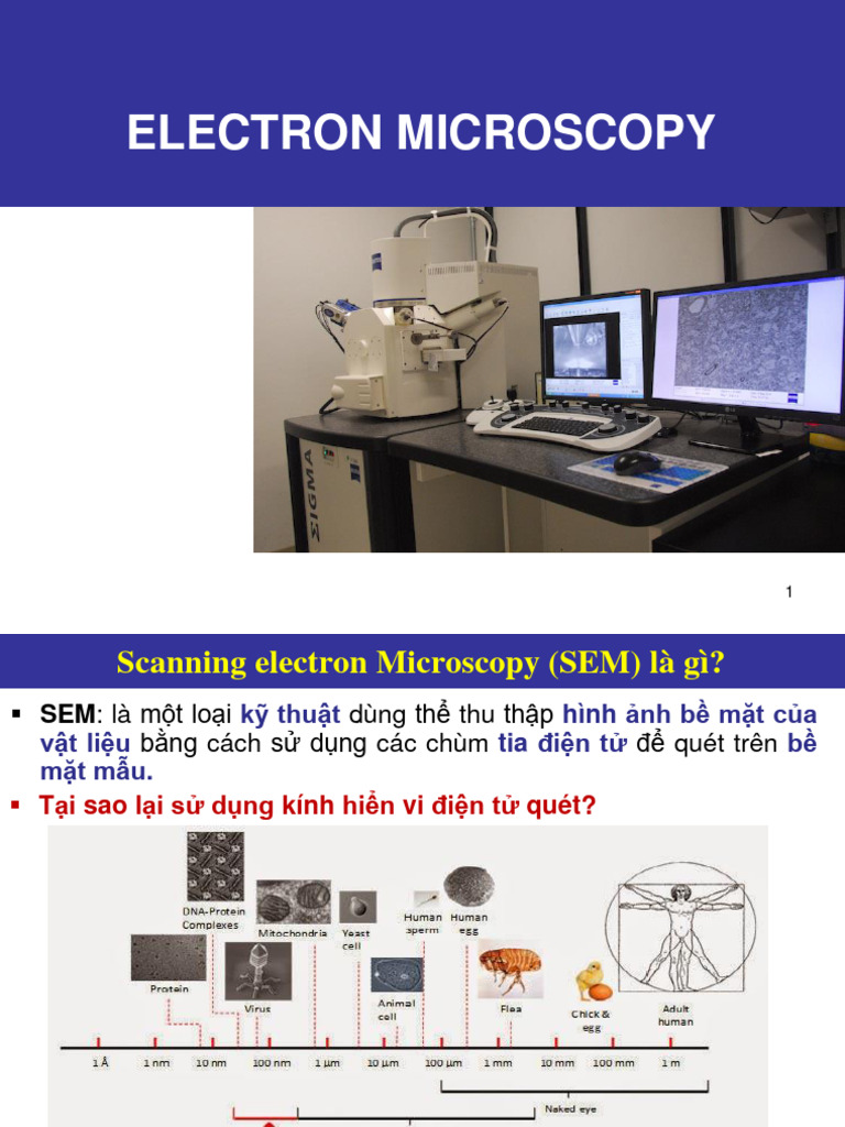 Chapter 4 - SEM & TEM | PDF