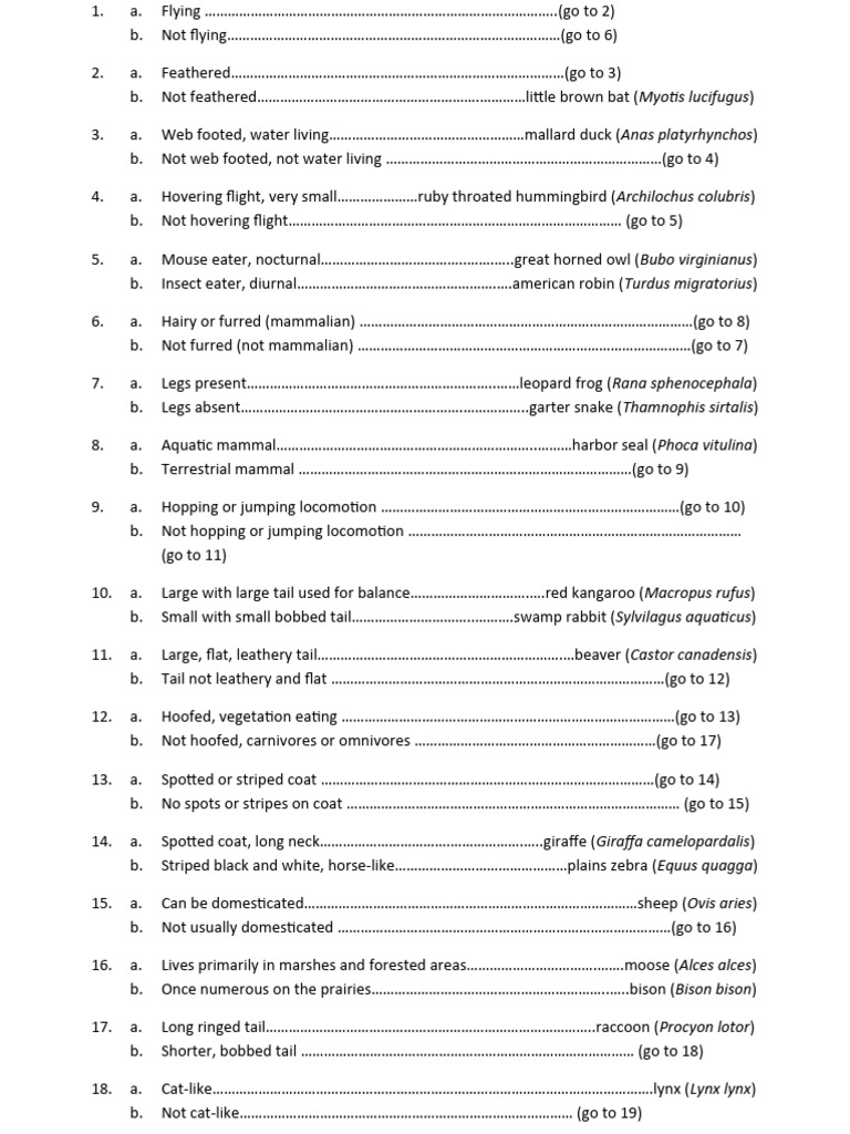 DichotomousKeyWorksheet 1 | PDF | Zoology