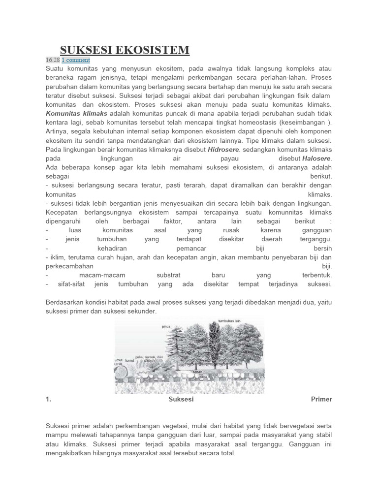 Materi Suksesi Ekosistem Pdf Sains Matematika Teknologi Rekayasa
