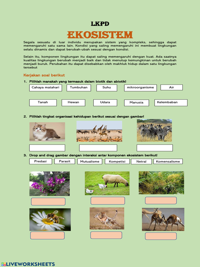 LKPD Ekosistem 2 | PDF