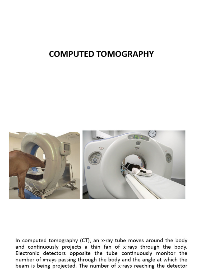 CT Scan in Animals | PDF | Ct Scan | X Ray