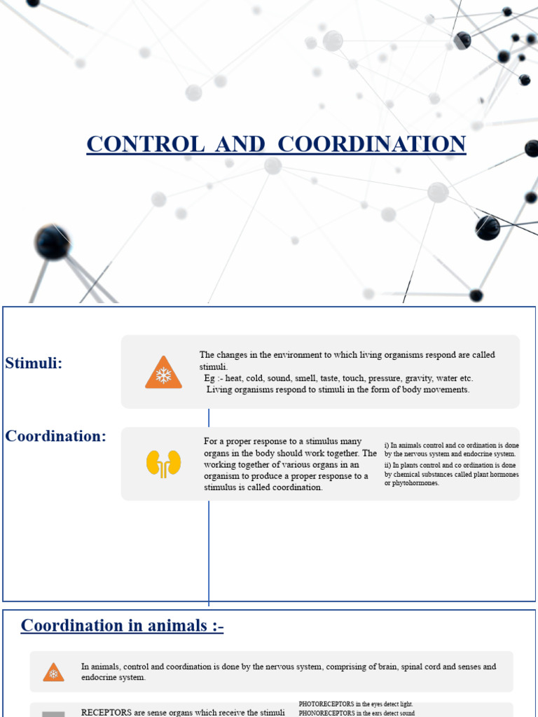 Control and Coordination in Organisms | PDF | Neuron | Stimulus ...