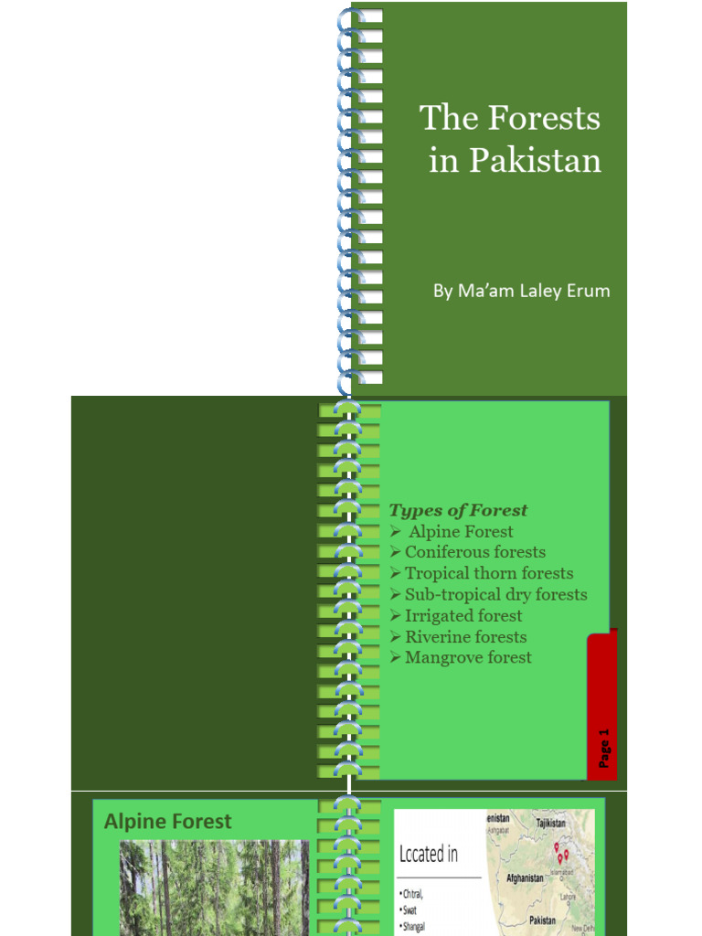 Unit 4 Forests | PDF | Forests | Deforestation