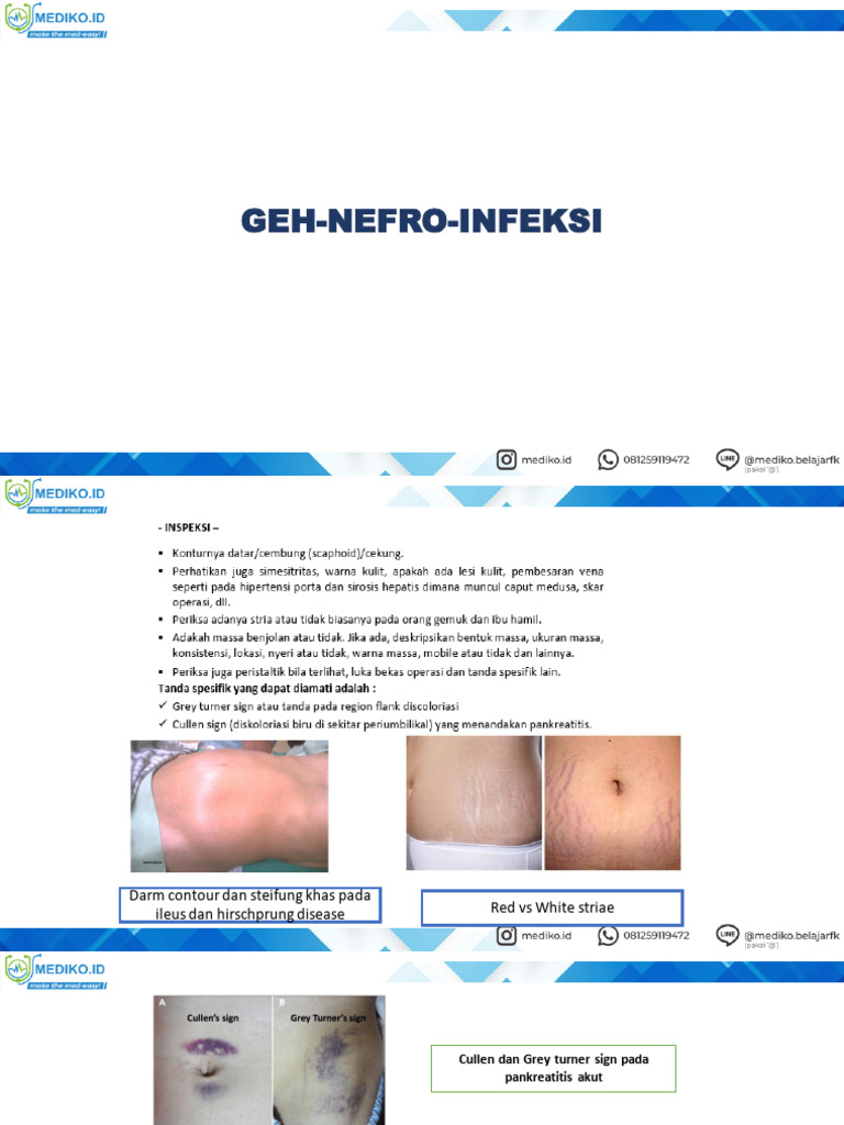 Essential Geh Nefro Infeksi | PDF