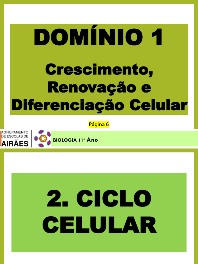 1.3 Ciclo Celular_Aluno | PDF | Mitose | Ciclo de célula