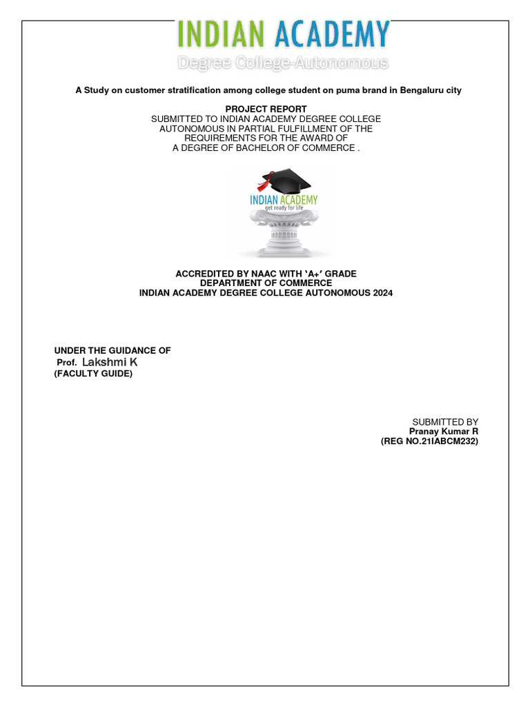 Open Project Puma | PDF | Survey Methodology | Market Segmentation