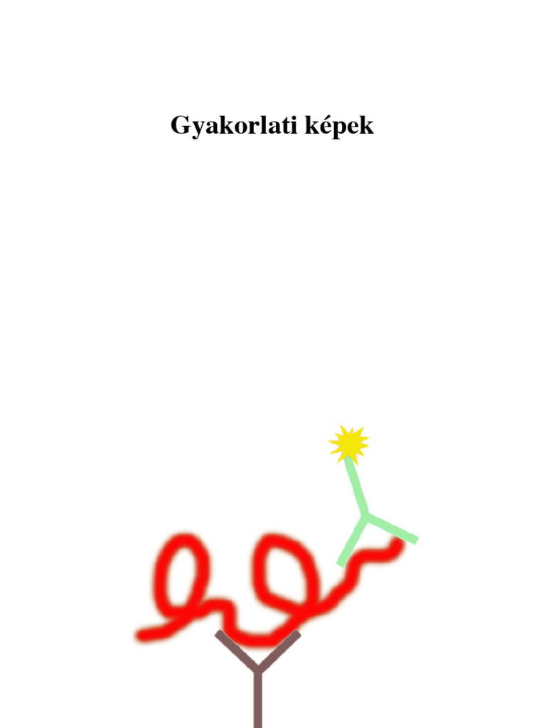 Gyak Kepek 2024 | PDF