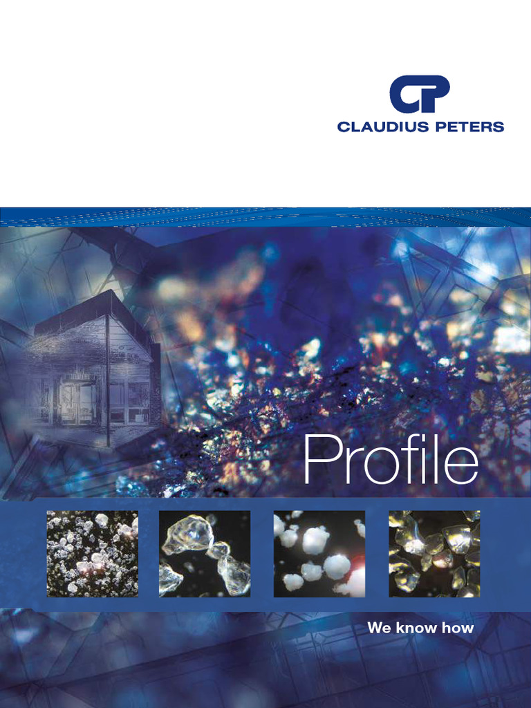 Claudius Peters: Innovative Bulk Solutions | PDF | Cement | Coal