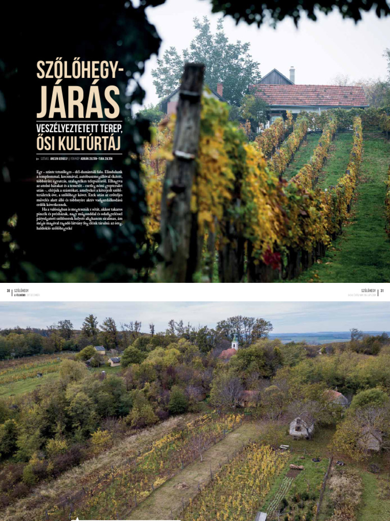 EPA03037 Foldgomb 2017 12 028-042 | PDF