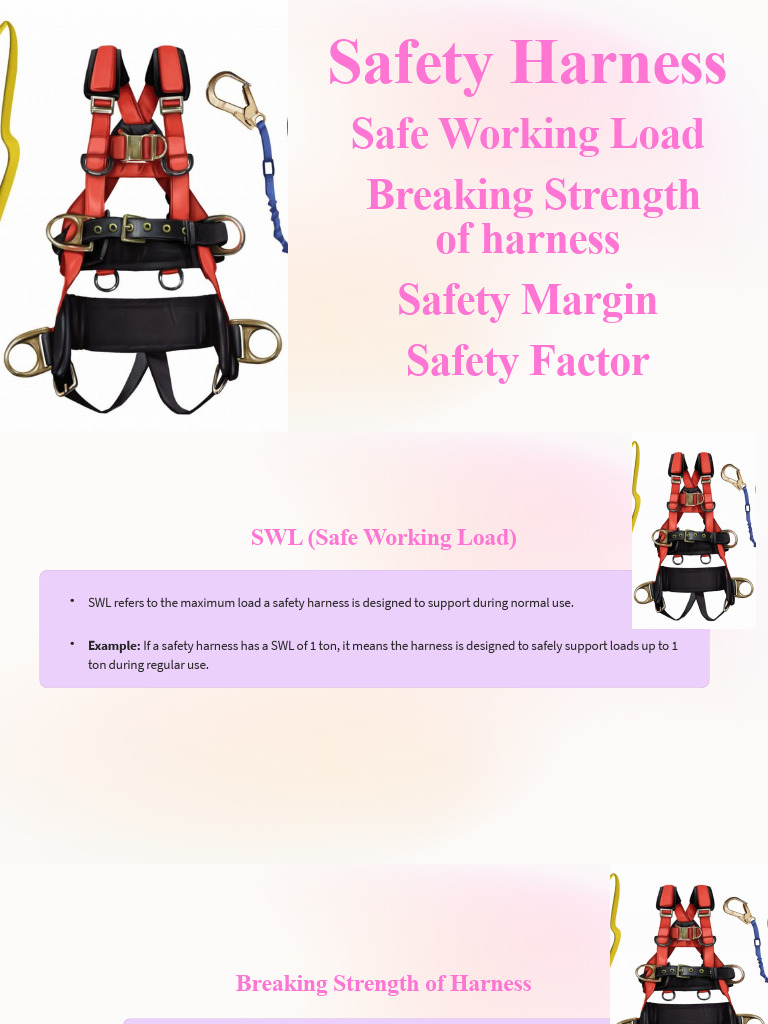 Safety Harness SWL | PDF | Strength Of Materials | Materials Science