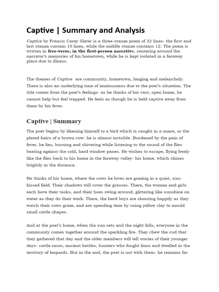 Captive Analysis Summary | PDF | Poetry