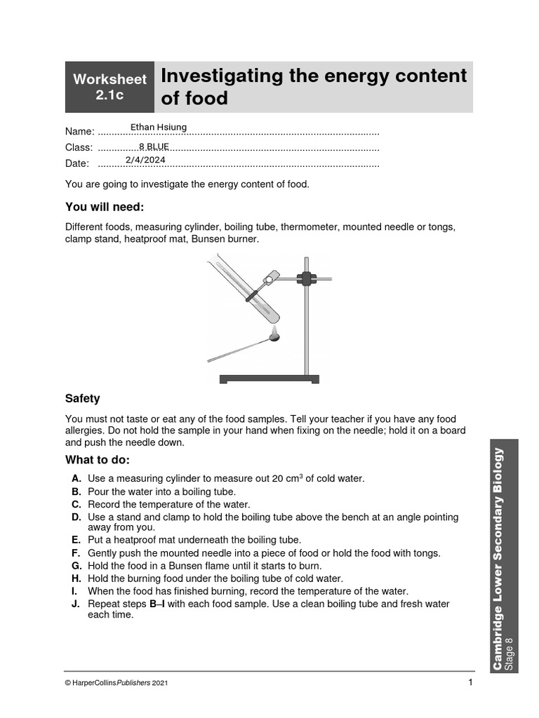 Investigating The Energy Content of Food: Worksheet 2.1c | Download ...